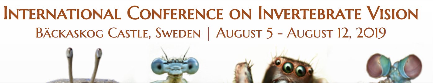 Robustness of a model of the insects' celestial compass in realistic ...